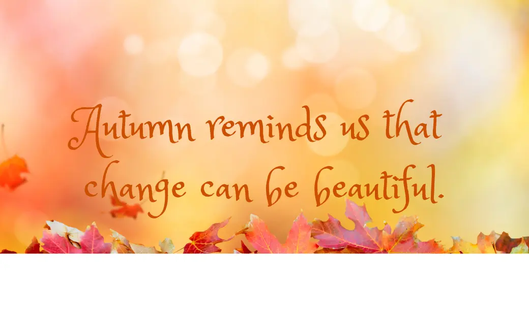 Embracing Change with Reiki | Transformational Holistics